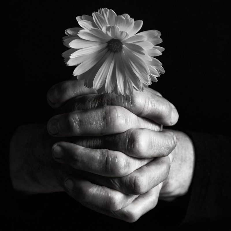 Mental Health Resources - Alex Rowan Foundation